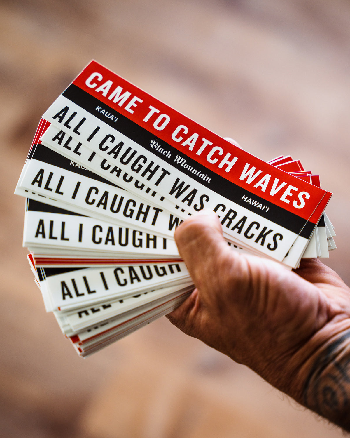 The Catch Cracks Sticker | Black Mountain Surf Wax